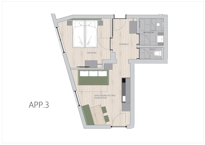 Mila - Apartment No.3 - 38 M² - Saalbach-Hinterglemm