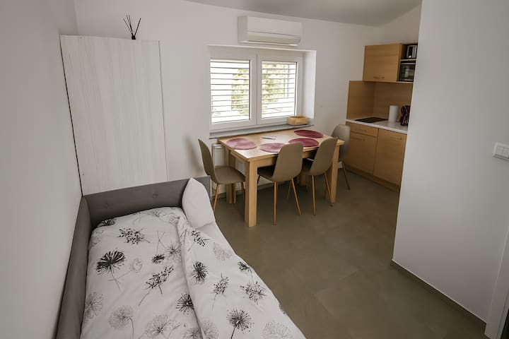 Studio In The Center Of Celje | 4 Single Beds - Celje