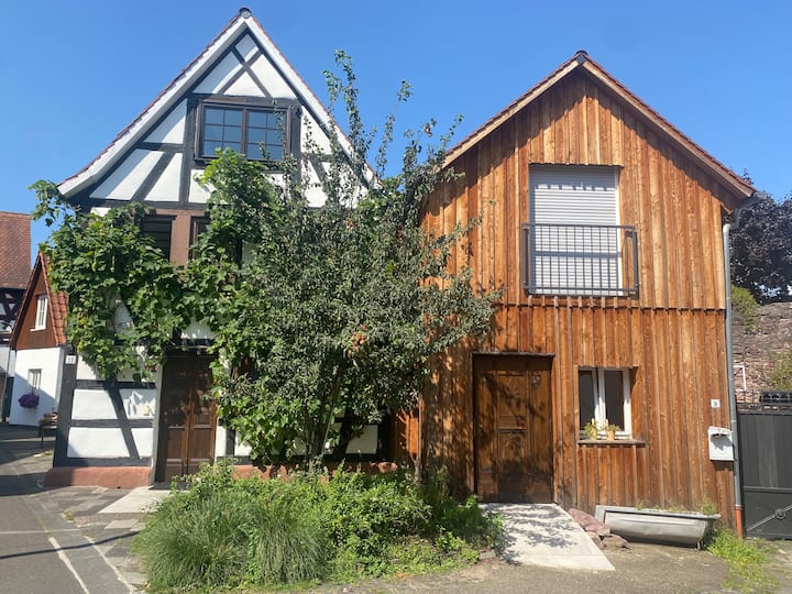 Altstadt-loft Mit Dachterasse - Dreieich