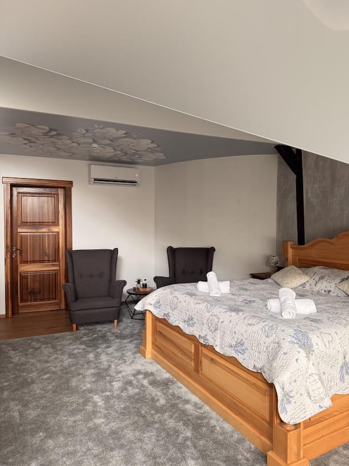 Superior Pokoj S Vlastní Terasou - Mladá Boleslav