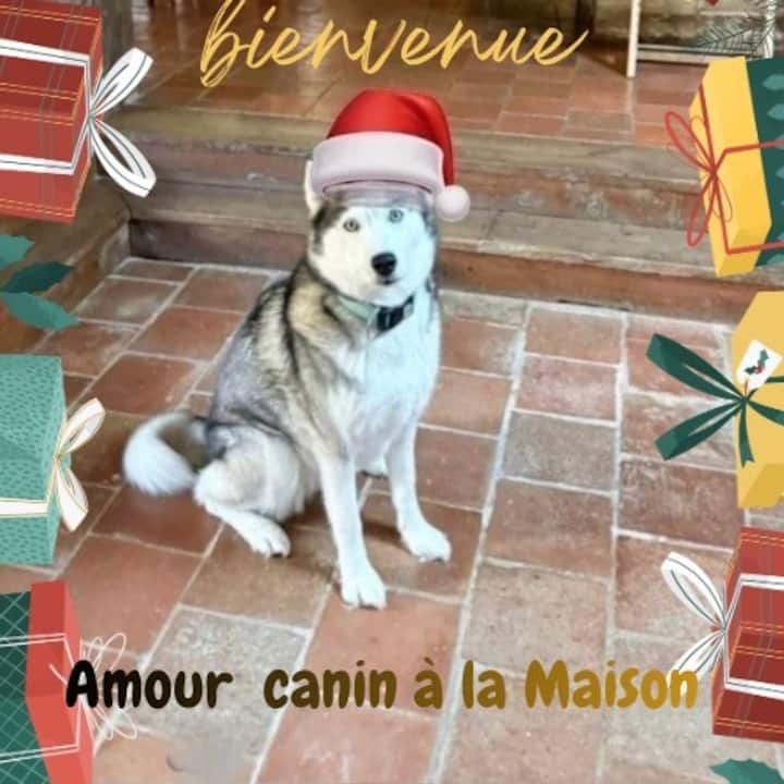 Jardin, Charme De La Campagne - L'Isle-Jourdain