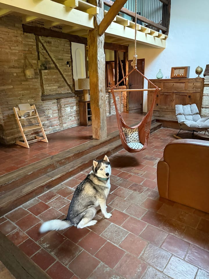 Jardin, Charme De La Campagne - L'Isle-Jourdain