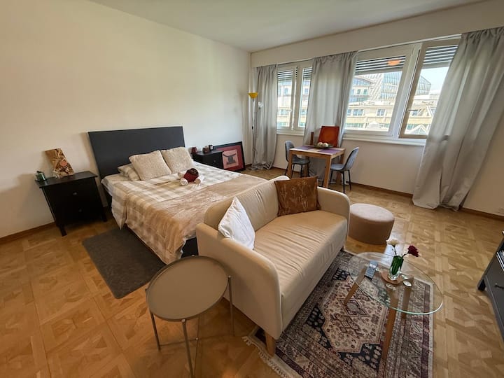 Elegant Apartment In Prestigious Un District - Geneva