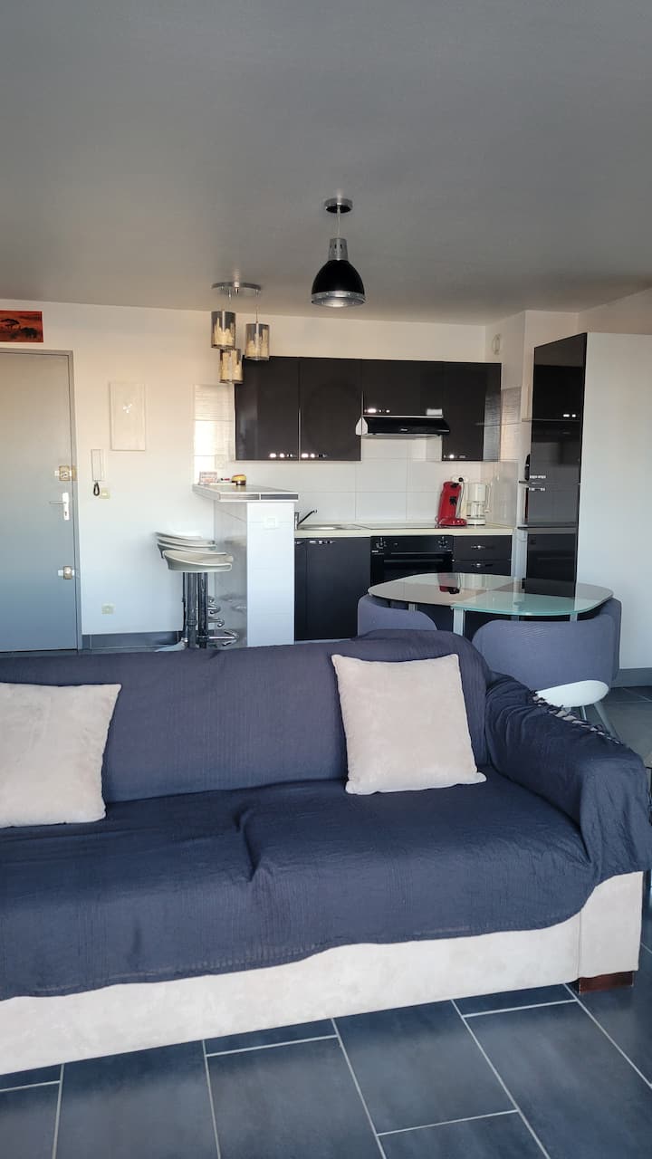 Grand Studio Avec Ascenseur, Parking Et Vue Canal - Sète