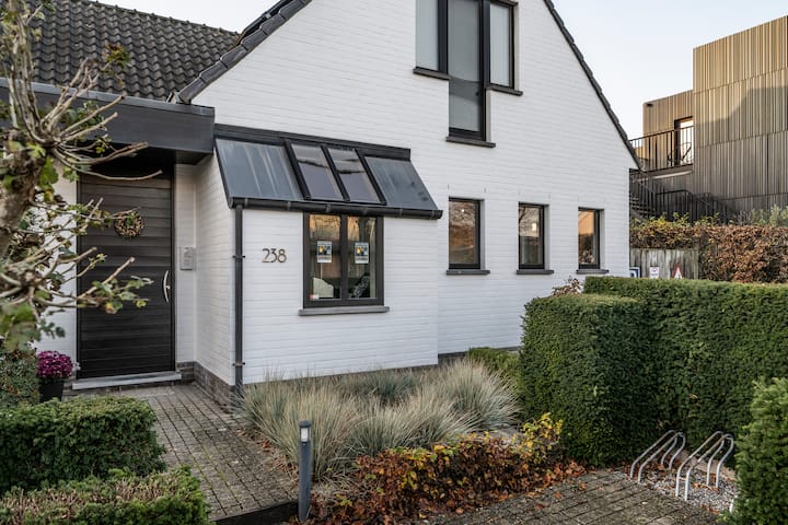 The Practice - Brugge