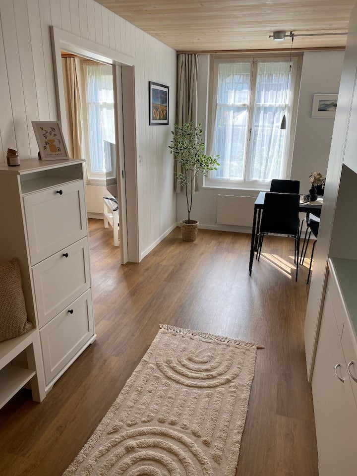 Gemütliche, Helle Ferienwohnung - Sankt Anton