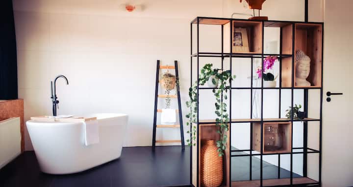 Large Room With Bath - Rijswijk