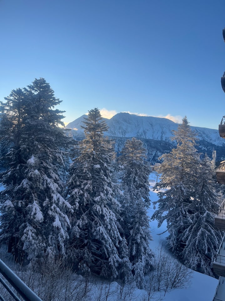 Bel Appartement De 6 Personnes Au Pied Des Pistes - Chamrousse