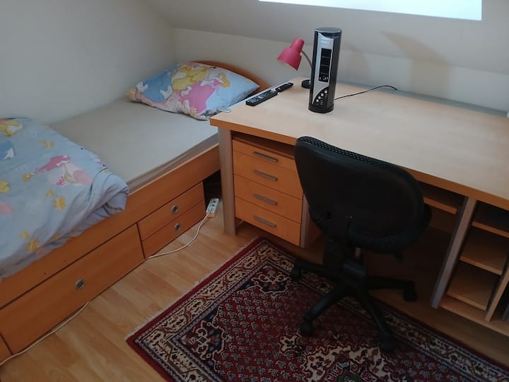 Apartment Mit Dachschräge, Bad, Toilette, 30m² - Hagen