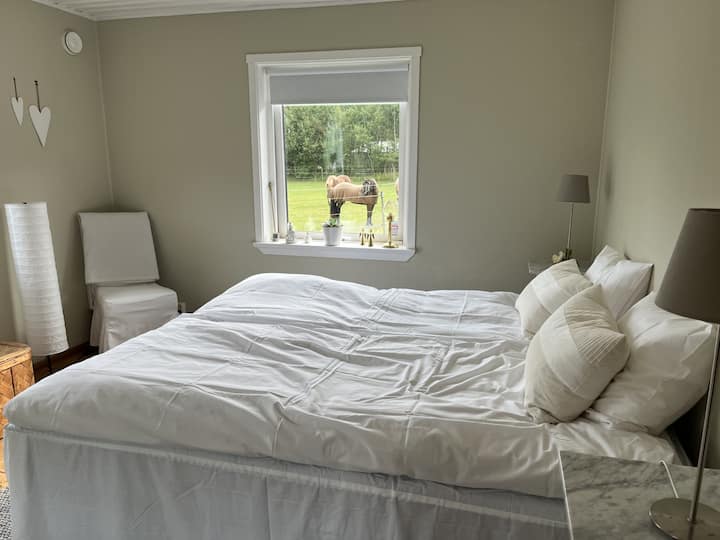 Hästgård Ekbacken Söderåsen - Sweden