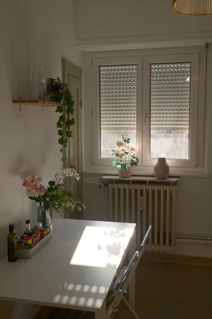 Appartement Centre De Strasbourg, Vue Cathédrale - Strassburg