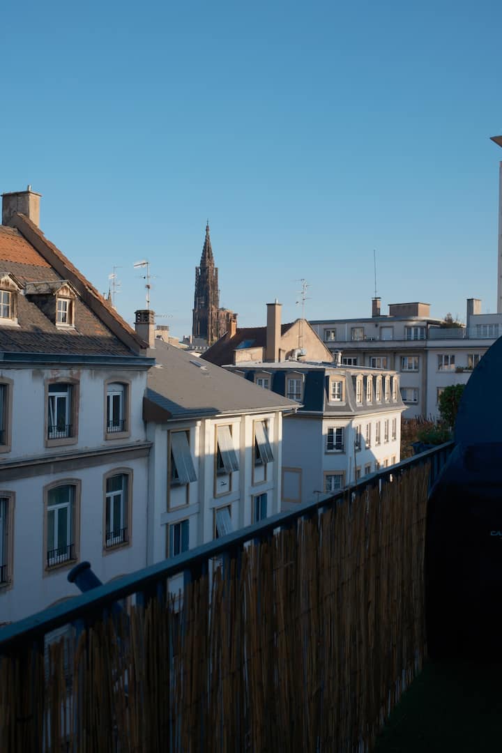 Appartement Centre De Strasbourg, Vue Cathédrale - Strasbourg