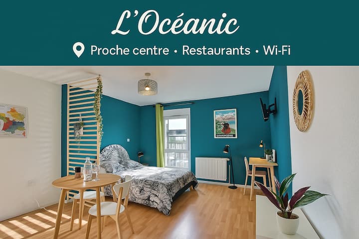 L’océanic : Studio Proche Centre - Haut-Rhin