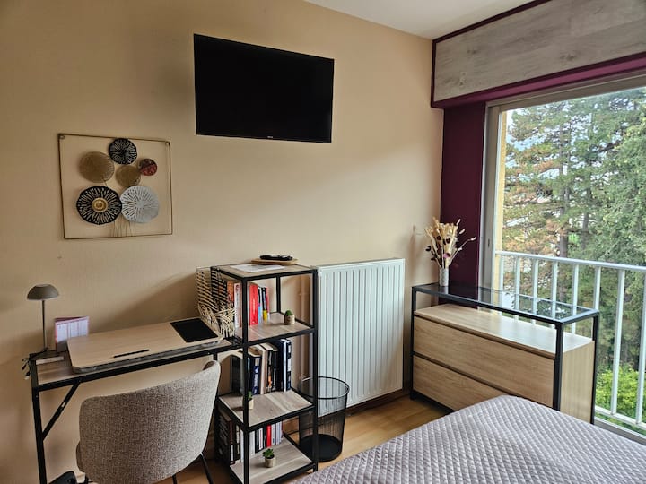 Souvenirs De Provence - Digne-les-Bains