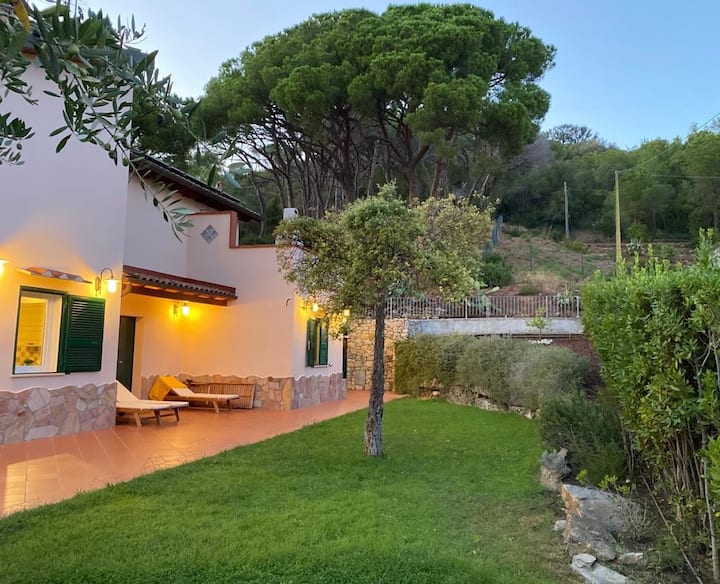 Isola D'elbavilla 14 Posti Letto - Marina di Campo