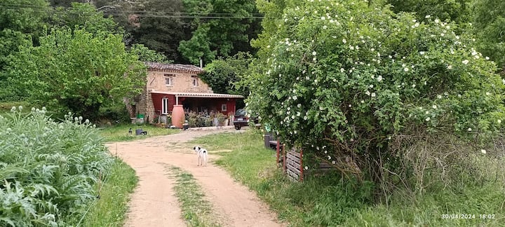 Ancienne Grange Rénovée. - Le Thoronet