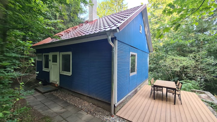 Ferienhaus Am Katzstein - Gohrisch