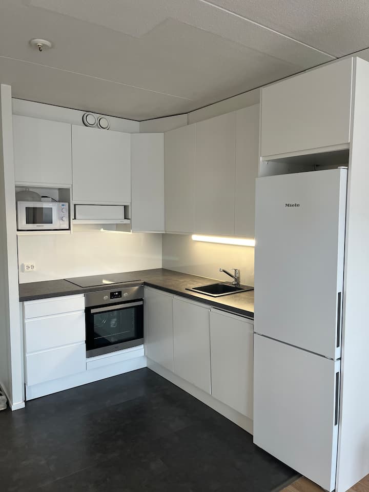 Excellence Flat With Own Sauna - Vantaa