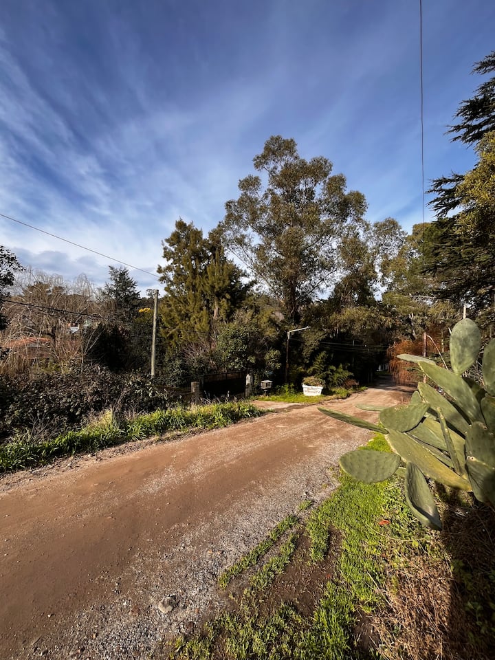 Cabaña Vista A La Sierra Rodeada De Verde - Tandil