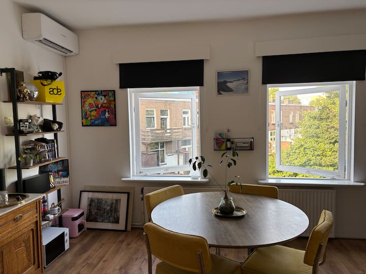 Appartement Met Dakterras - Utrecht