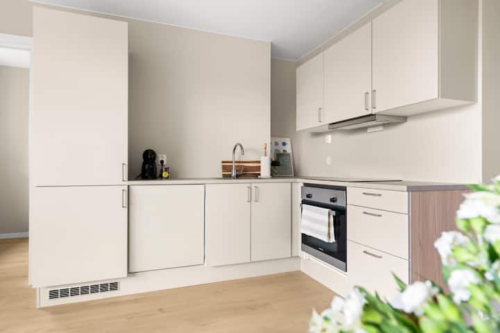 Lys & Moderne Leilighet I Oslo - Oslo