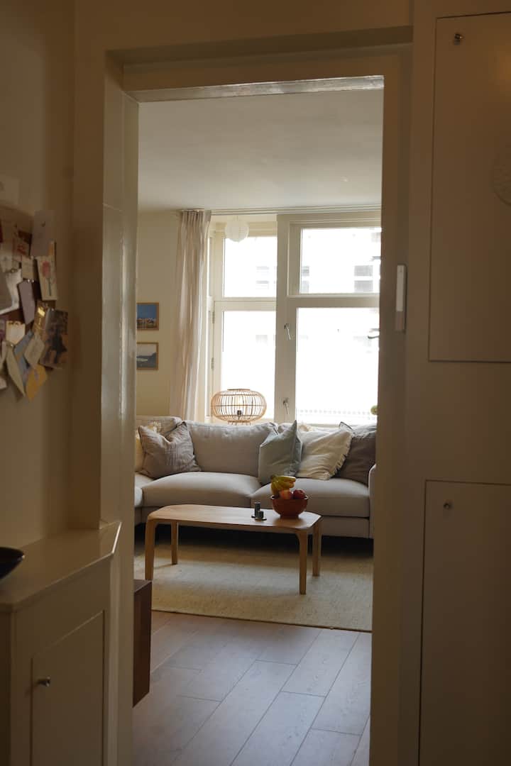 Cozy Apartment With Terrace - Amsterdam