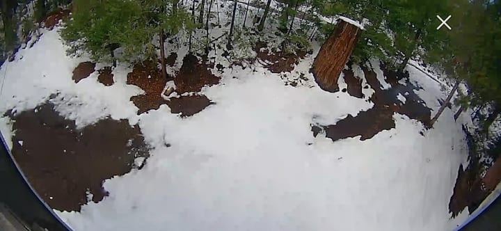 We Have Snow In April! Snow Day Here! Book Now! - Dodge Ridge, CA