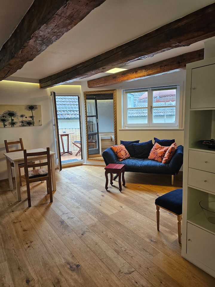 Historisches Apartement Südbalkon - Straubing
