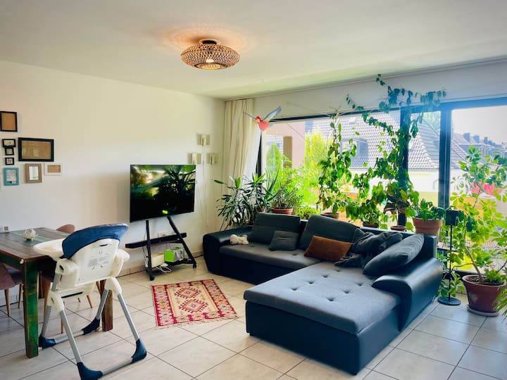 Messe Köln In 50 Min, Ruhig - Nationalpark Eifel