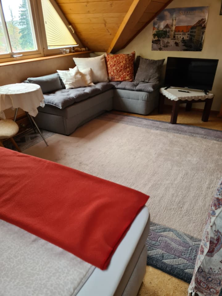 Villa Zentral Aber Ruhig Mit Garten - Marburg