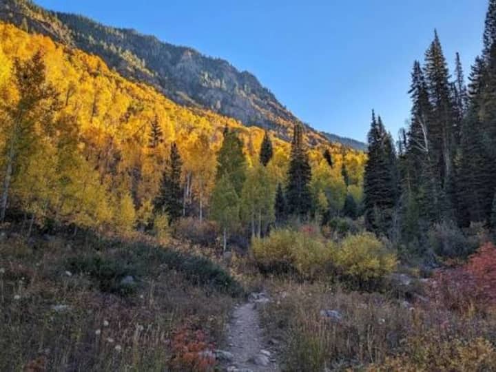 Enjoy Fall Colors In Vail - Steps From Trails&bus - Vail, CO