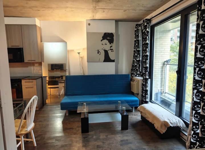 Big Superior Condo In Dt, Metro,gym,pool,concordia - Lasalle