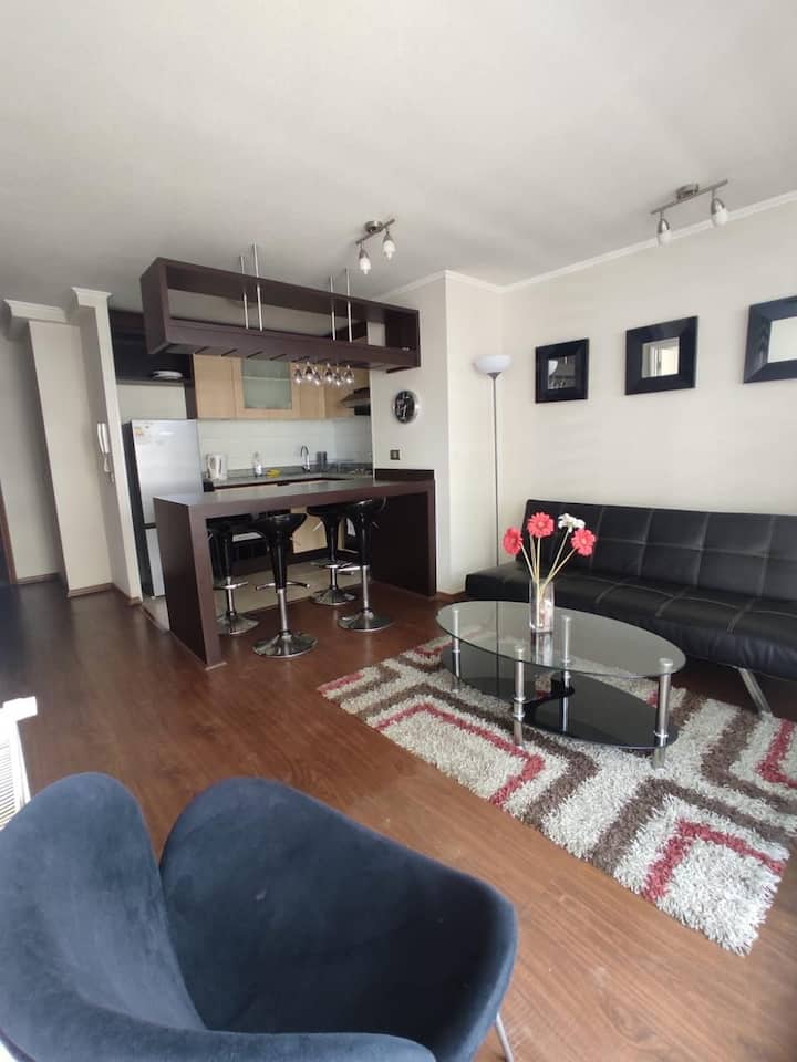Depto. 1d Centro Viña Del Mar - 비냐델마르
