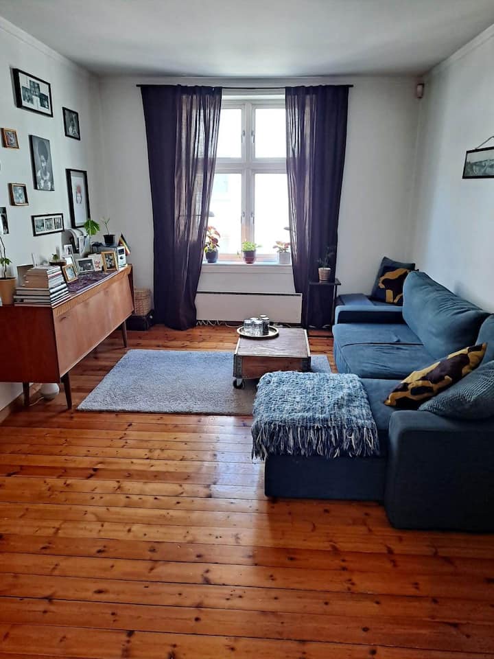 A Cozy Getaway In Central Oslo. - Oslo