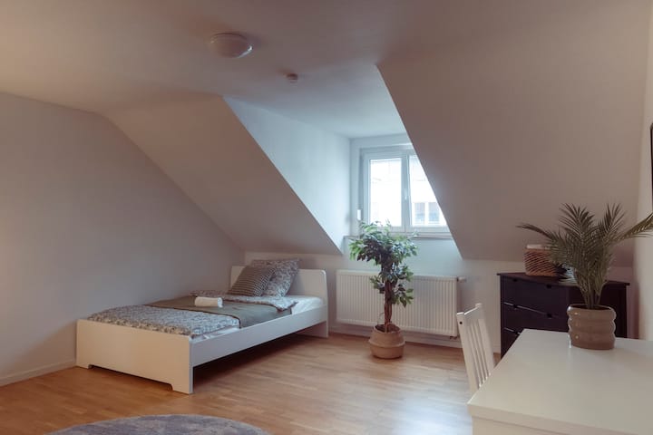 Geräumiges Zimmer3 Karlsruhe City - Karlsruhe