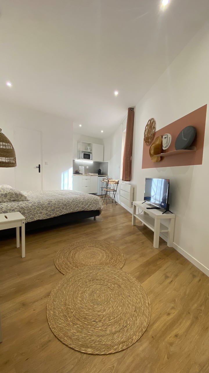 Studio "Verge D'or" 1 - Toulouse