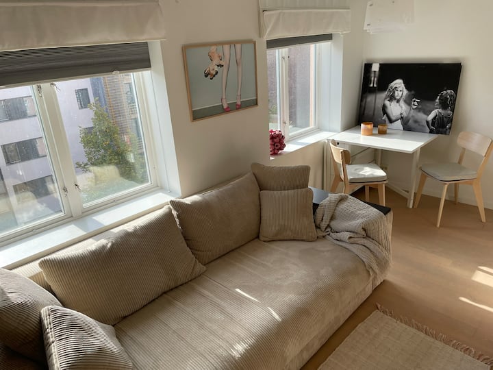 Sentralt Beliggende Leilighet På St. Hanshaugen - Oslo