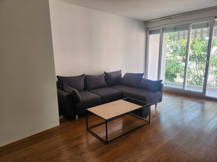 Nice Room In Apartment Central Geneva - Carouge