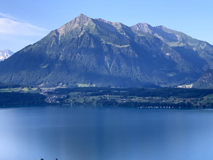 Residenz üBer Dem Thunersee - Thoune