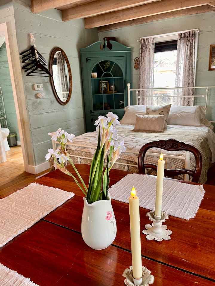 The Historic William Suite-walk To Downtown - Wausau, WI