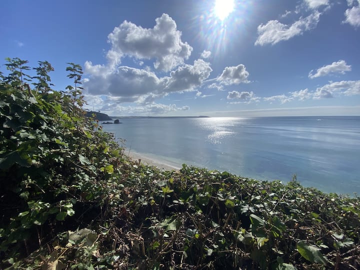Woodland View Apartment - Saint Austell