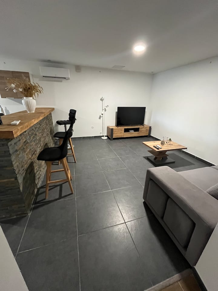 Grand Appartement T3 90 M² - Castres
