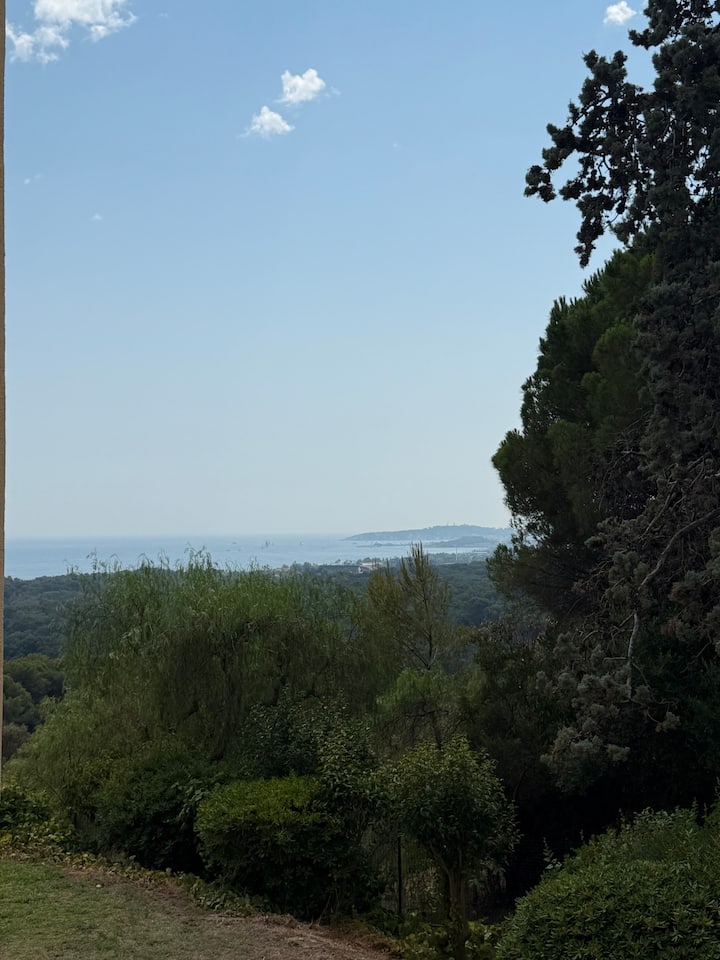 Gated Domain • Cosy Place • Sea View - Villeneuve-Loubet