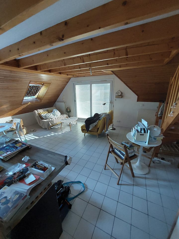 Appartement Vannes Proche Port - Vannes