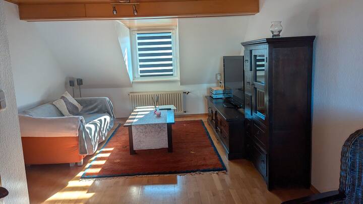 Cozy 2 Room Apartment Near Volkswagen Plant - Wolfsburg