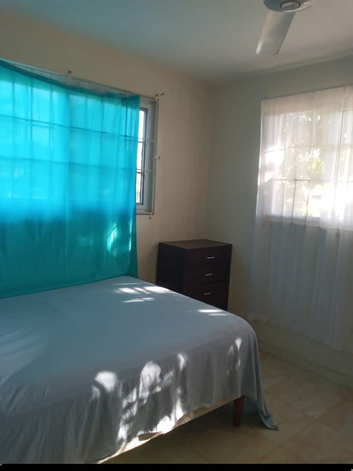 Liguanea Budget Accommodations - Kingston
