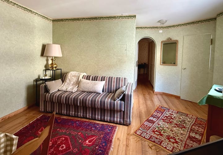 Central Apartment In St. Moritz - Sankt Moritz