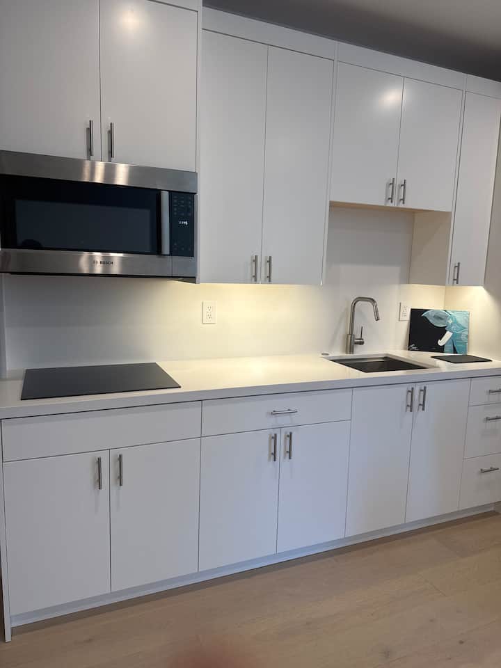 Brand New Unit In Silicon Valley - Foster City, CA