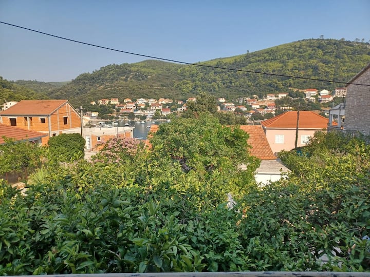 Apartman Blizu Hotelske Plaže. - Smokvica