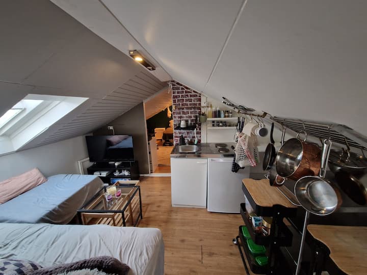 Cozy Attic Apartment Reykjavík - Reykjavik